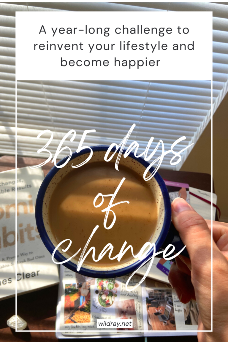 How to improve your lifestyle in 365 days